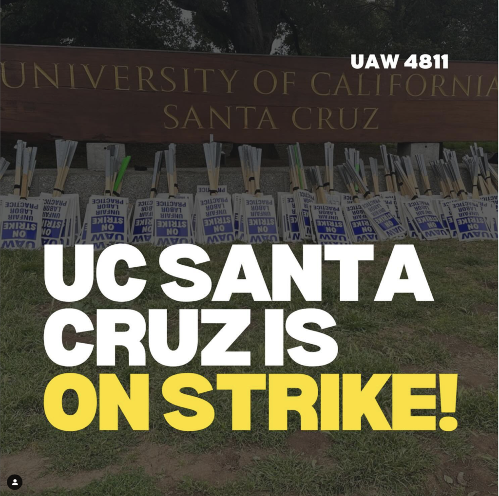 UC Santa Cruz Is On Strike (UAW 4811) | Labor for Palestine