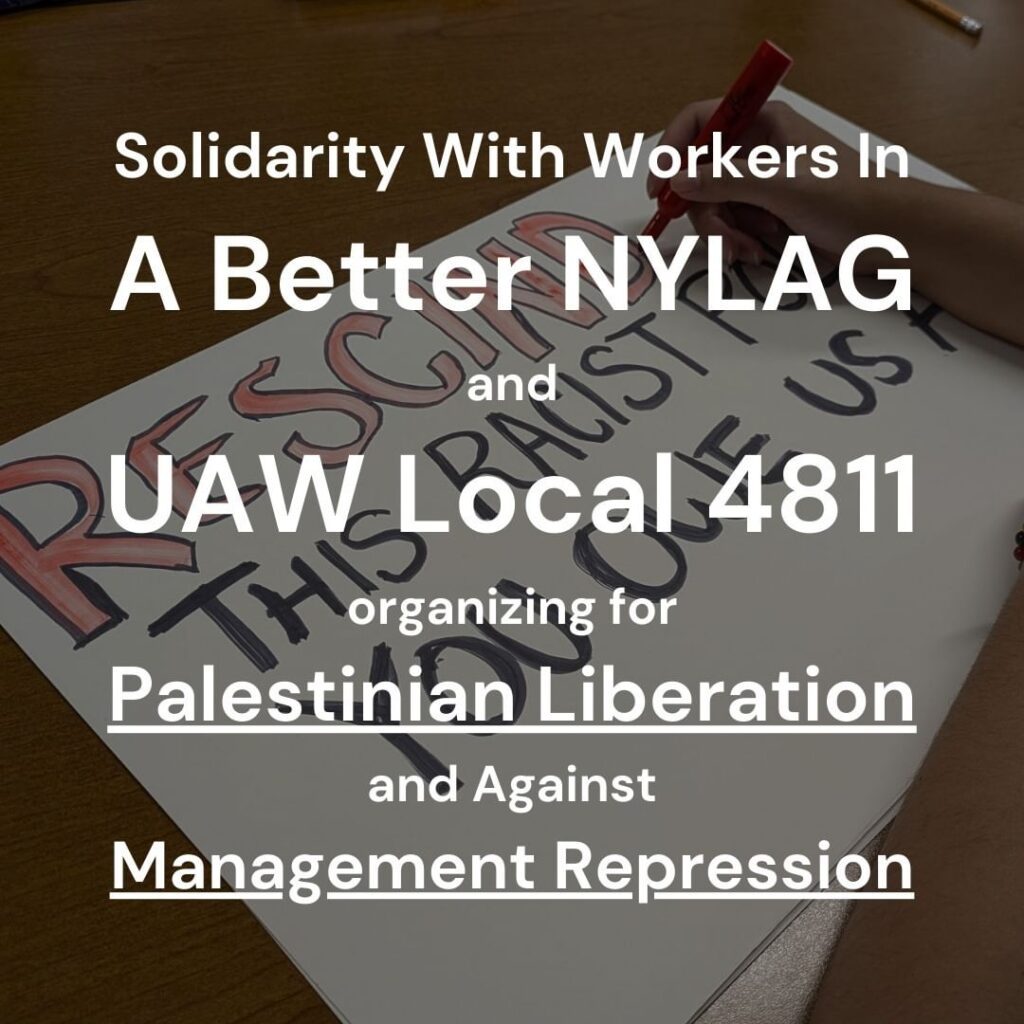 Solidarity With Workers In A Better NYLAG and UAW Local 4811 Organizing ...